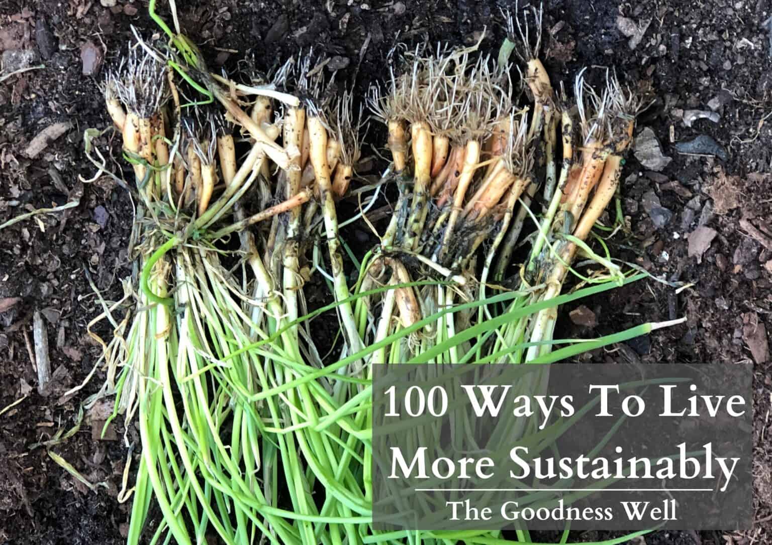 100 Easy Ways to Live More Sustainably in 2025 (That Actually Save You ...